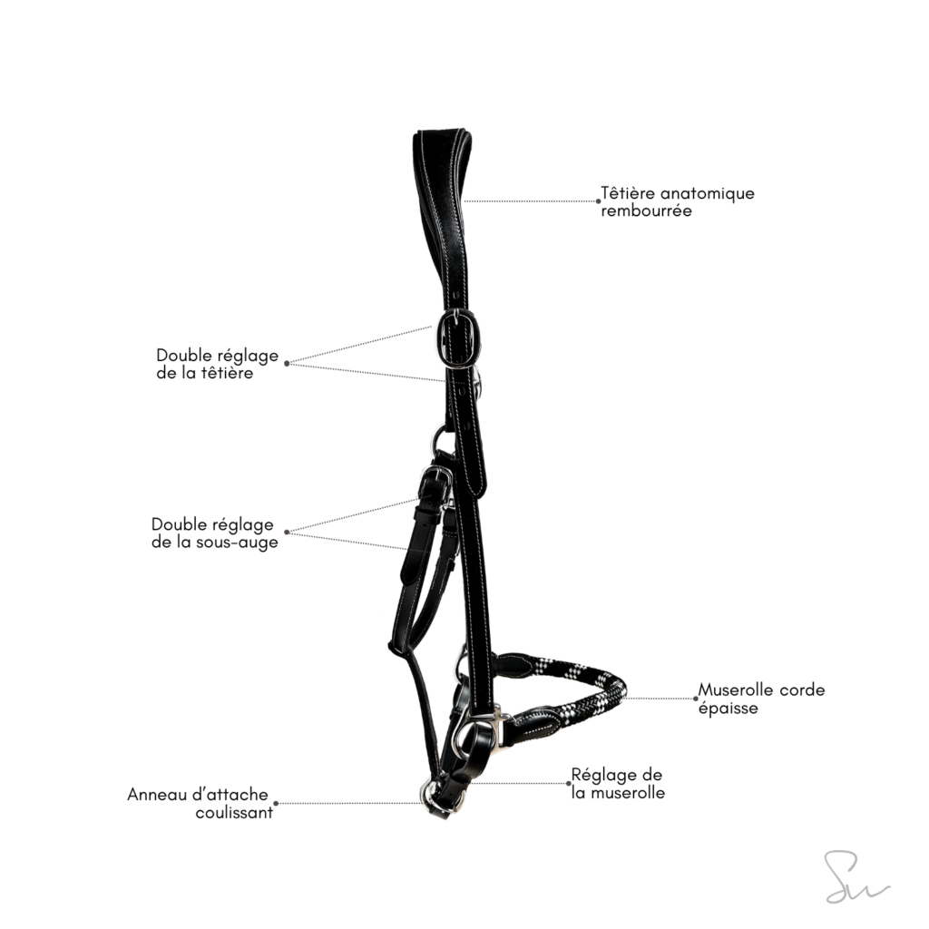Licol personnalisable Cuir et Corde Neckfit - Smart Wag